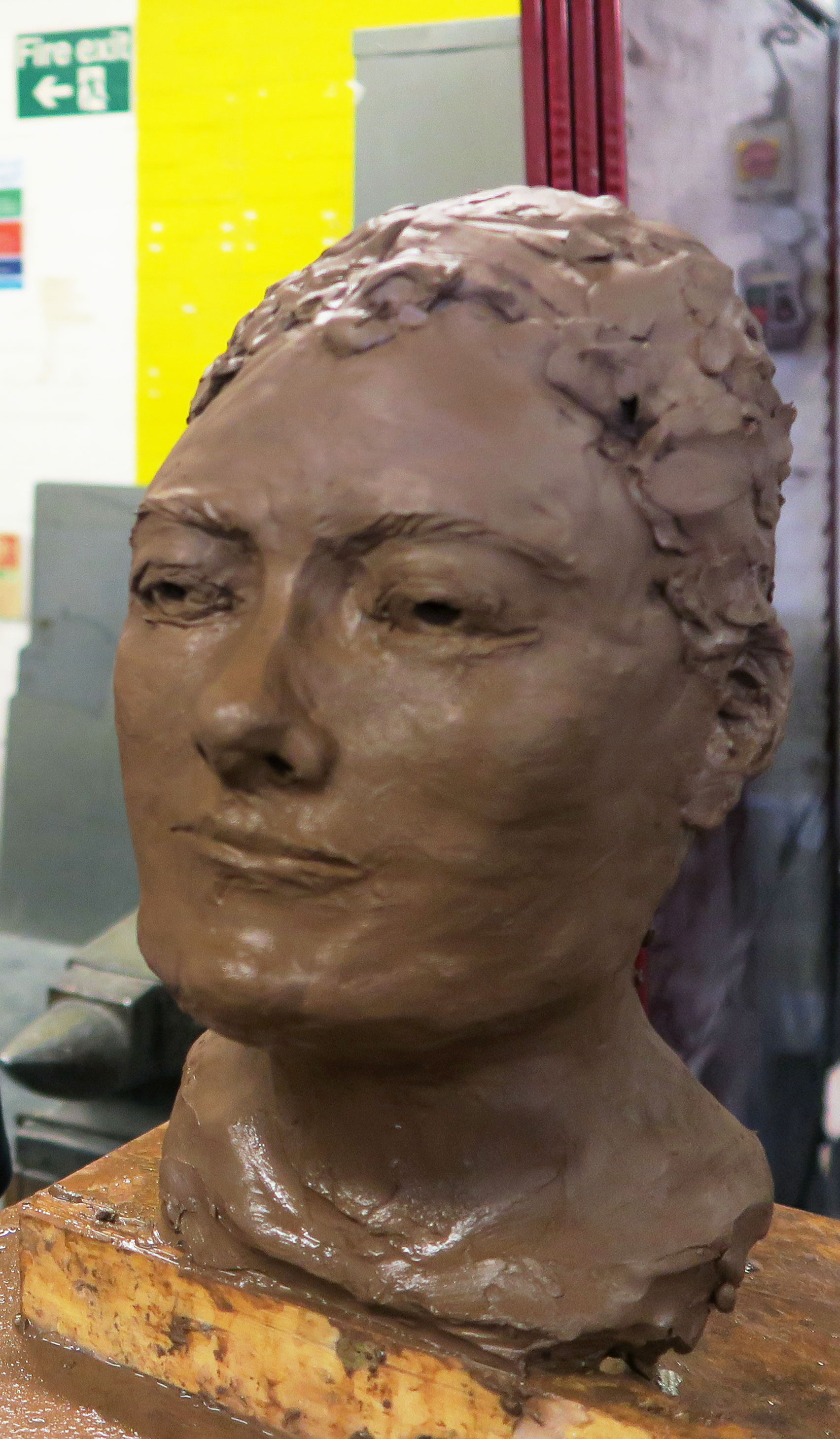 The eyes have it – Dewfall Hawk