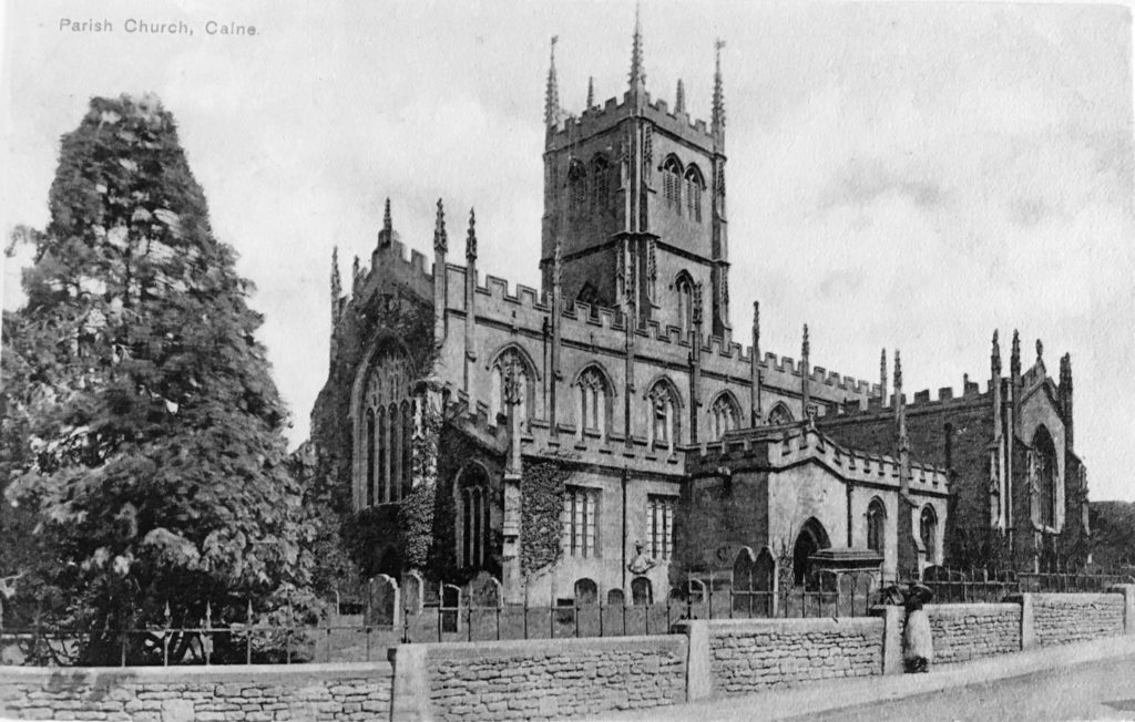 A cut above the rest – Dewfall Hawk