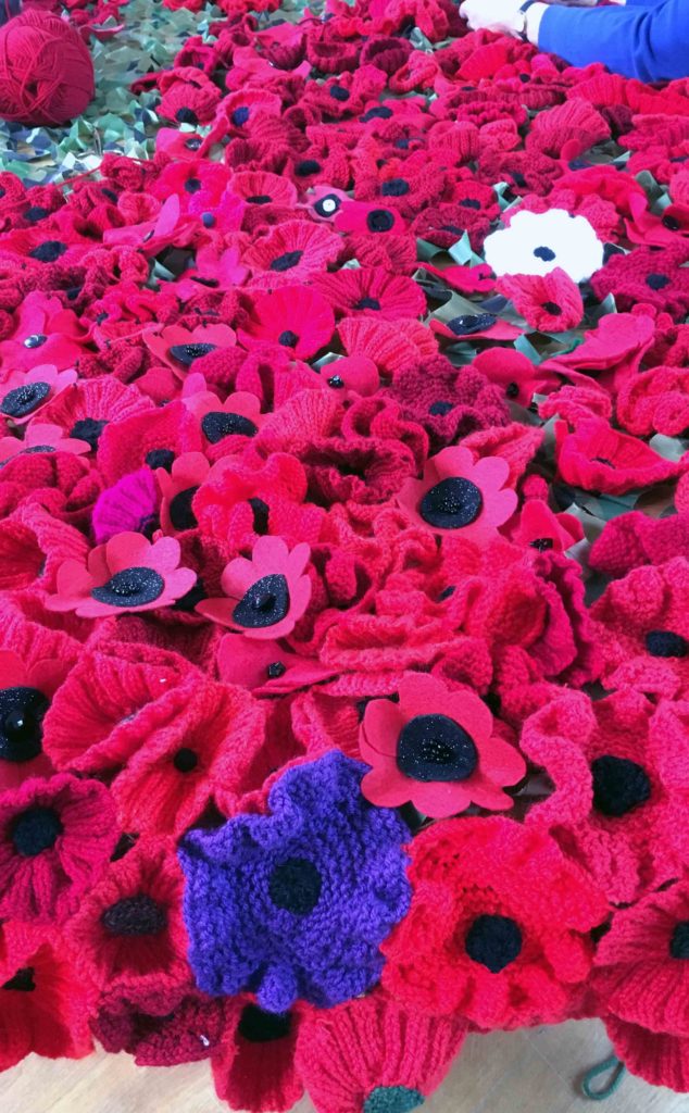 Remembering animals lost in war – Dewfall Hawk