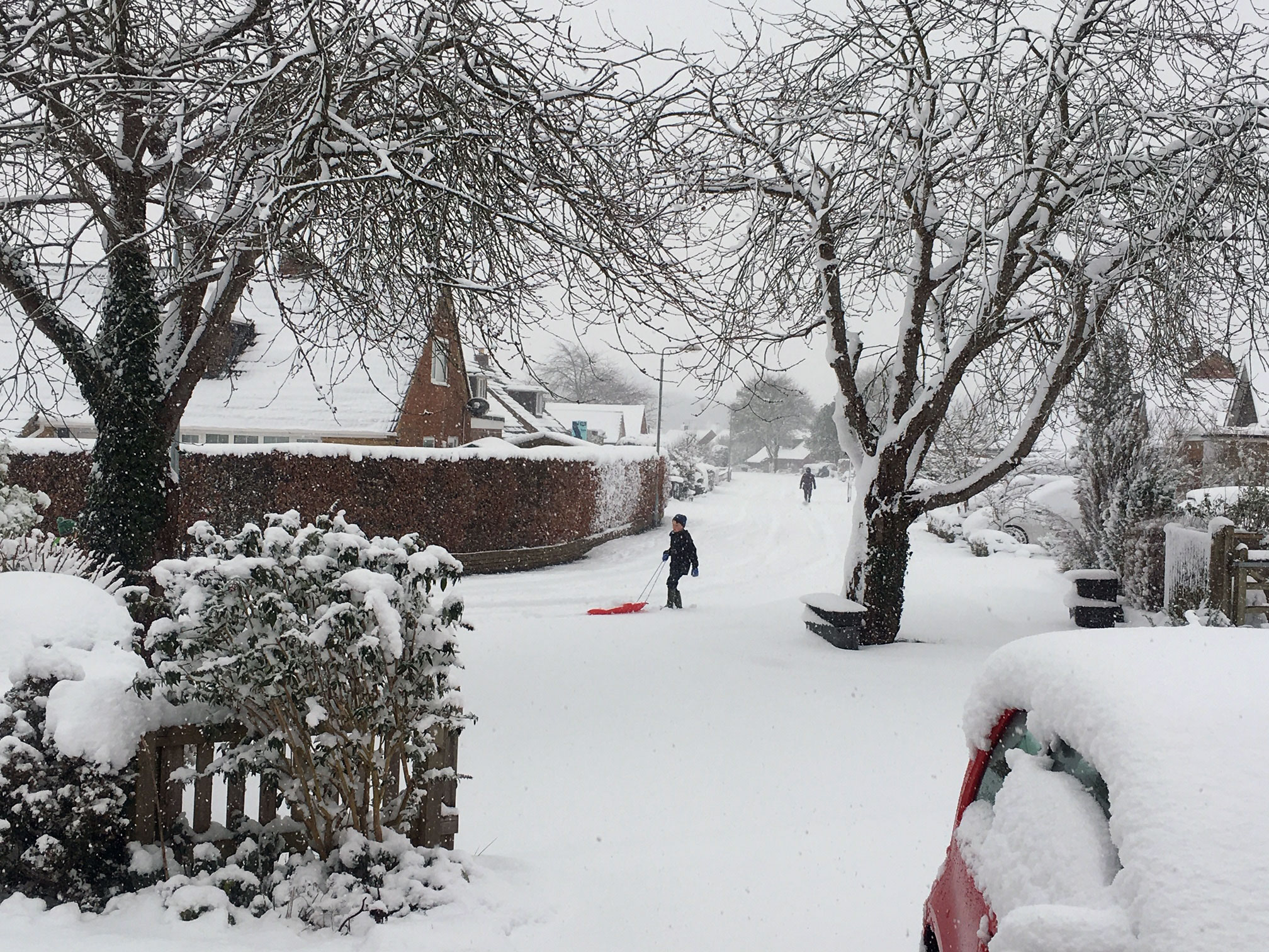 Winter wonderland – Dewfall Hawk