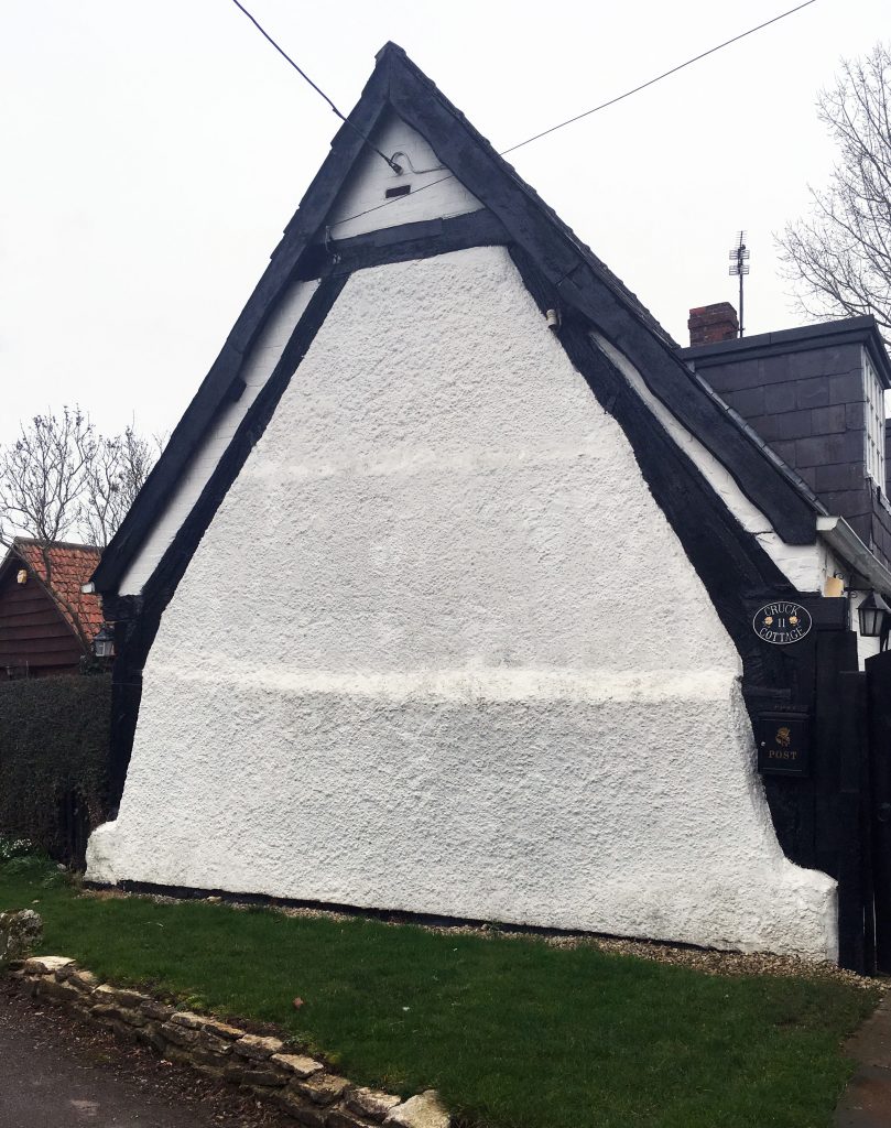 Spring walk – Dewfall Hawk