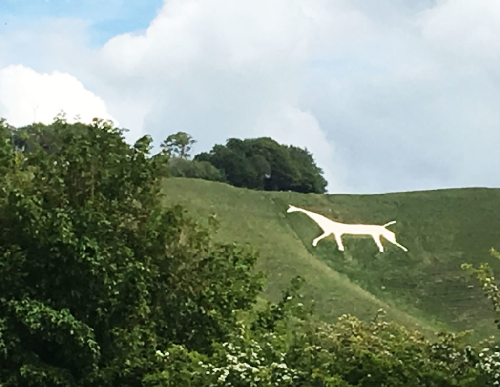 A shadow of myself (with audio) – Dewfall Hawk