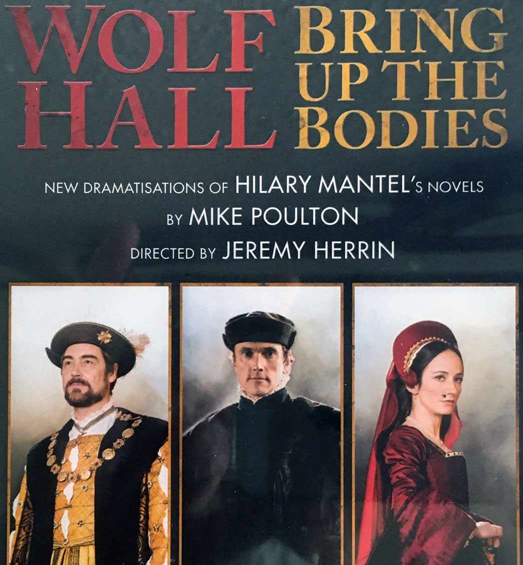 The last Tudor rose – Dewfall Hawk