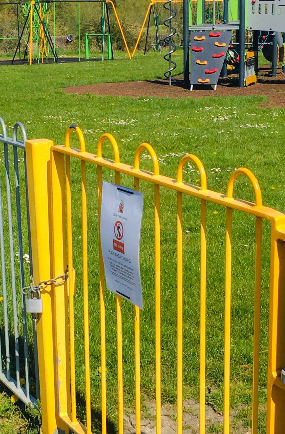 All the time in the world -alphabetical days – Y – Dewfall Hawk