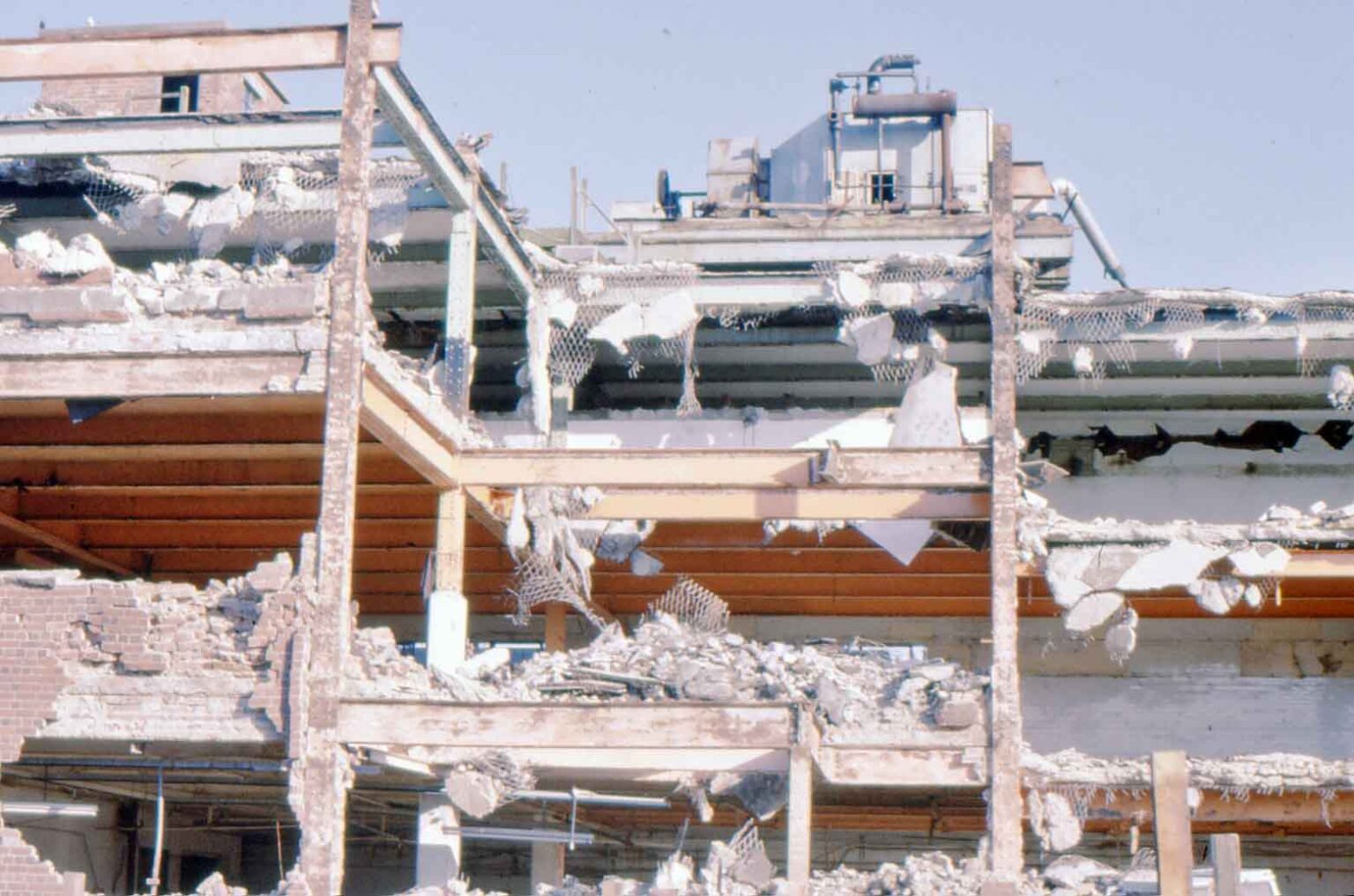 Polonies, pasties and pies – Dewfall Hawk