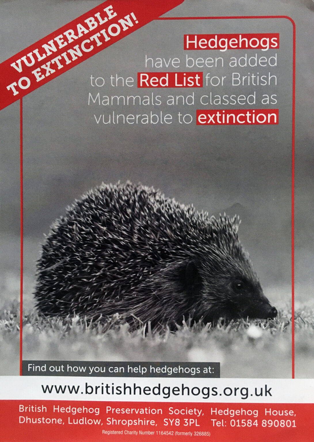 Log your hog – Dewfall Hawk