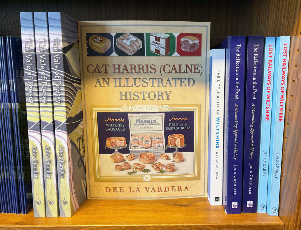 On the look out – Dewfall Hawk