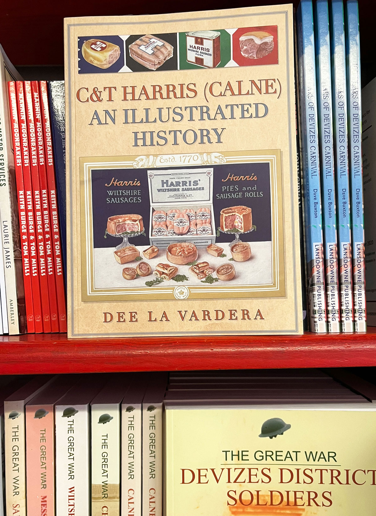 Still on the lookout – Dewfall Hawk