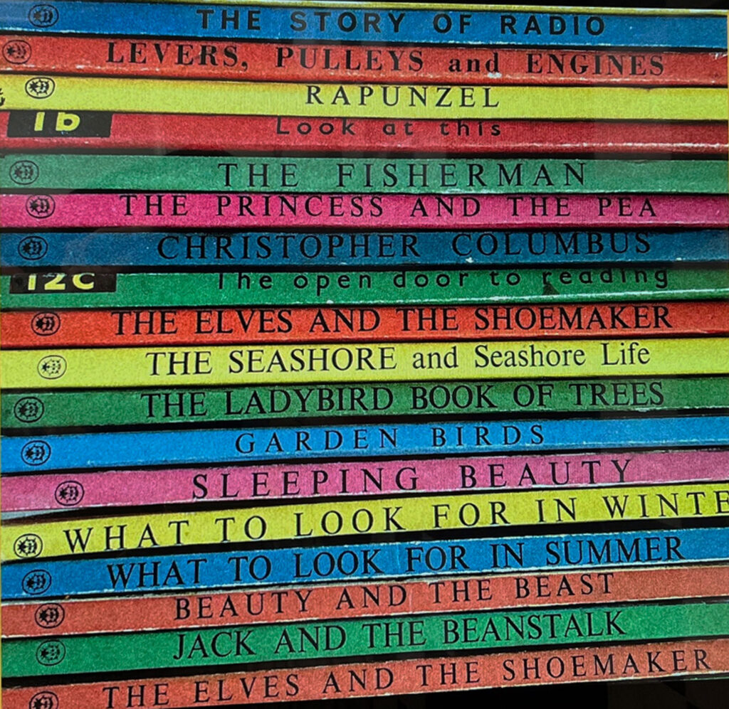 The Wonderful World of the Ladybird Book Artists – Dewfall Hawk